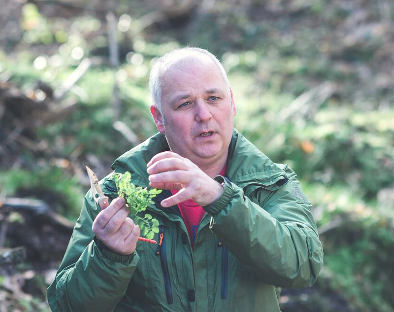 KENT CHEFS GO FORAGING WITH MOTHER AT THE BEACON! - The Chefs' Forum