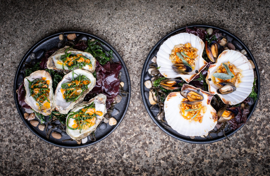 Coal-fired Welsh Oysters or Scallops with Mussels by Tom Westerland ...
