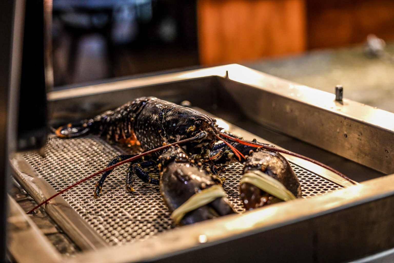 The Crustastun Reaches Its Brilliant Best - The Chefs' Forum