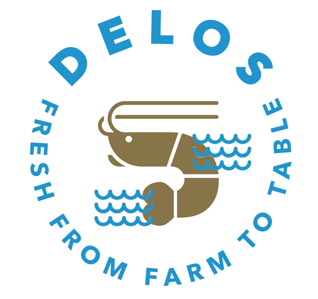 Delos King Prawn Chilli and Ginger Gyozas by Jeremy Bloor, Executive ...